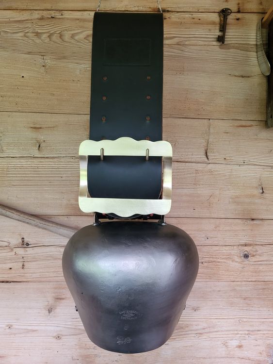 Treichel Bartenbach (Gebraucht) in Aeschi b. Spiez für CHF 550 – mit ...