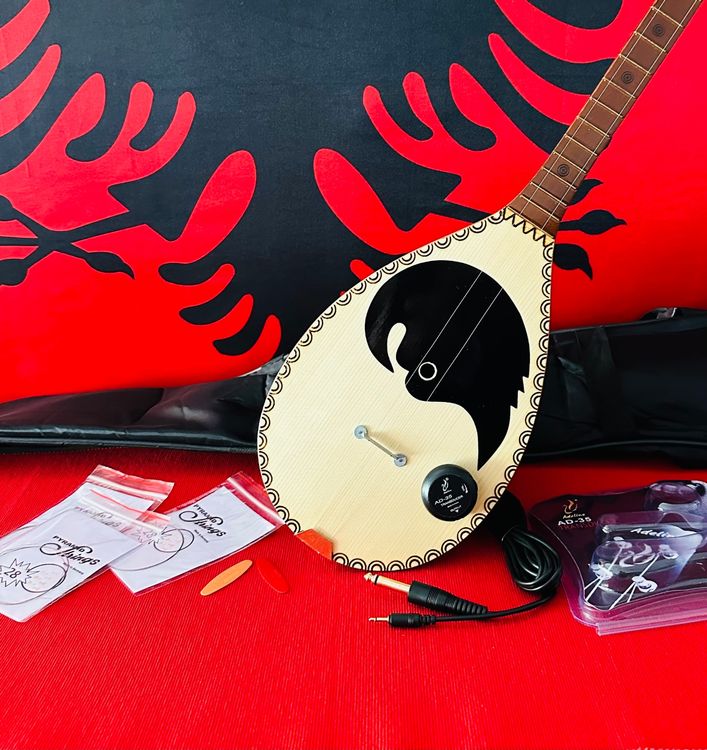 Qifteli Profesionale me mikrofiz | Kaufen auf Ricardo