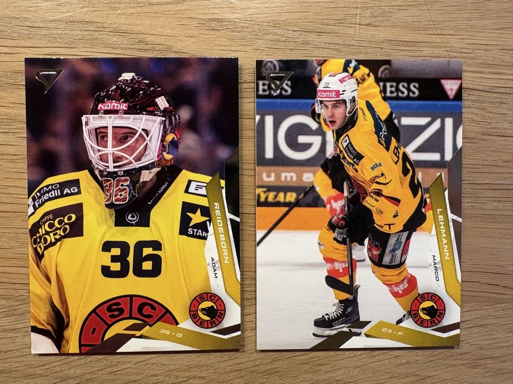 Sportzoo 25/26 SC Bern (Neu (gemäss Beschreibung)) in Pfäffikon ZH für ...