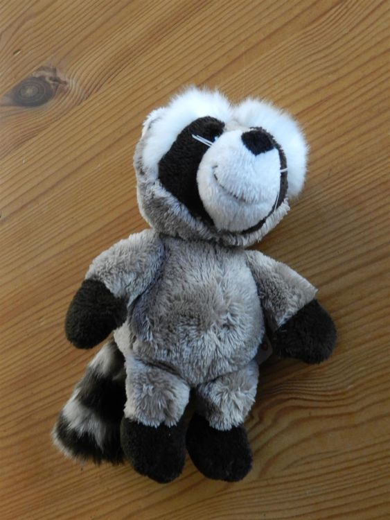 Nici Waschbär Rob Racoon ca. 15 cm (Gebraucht) in Dietlikon für CHF 5 ...