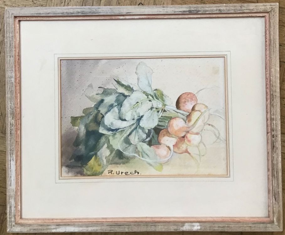 Rudolf URECH (1888-1951) Stilleben Aquarell (Gebraucht) in Root für CHF 20 – mit Lieferung auf ...