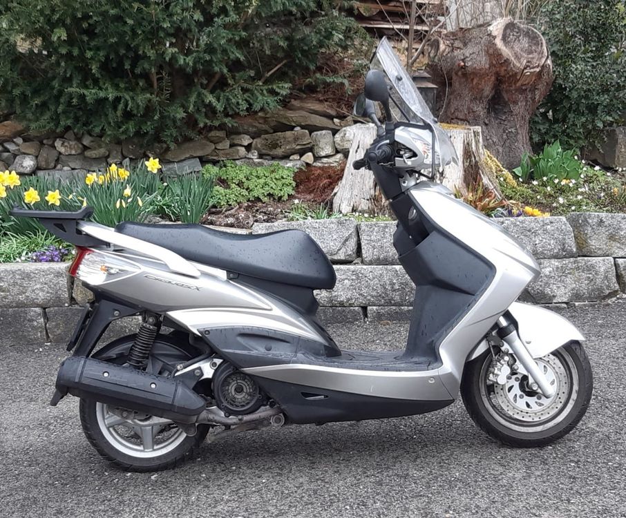 Yamaha XC125 Cygnus X (Gebraucht) in Adliswil für CHF 765 – nur Abholung auf Ricardo kaufen