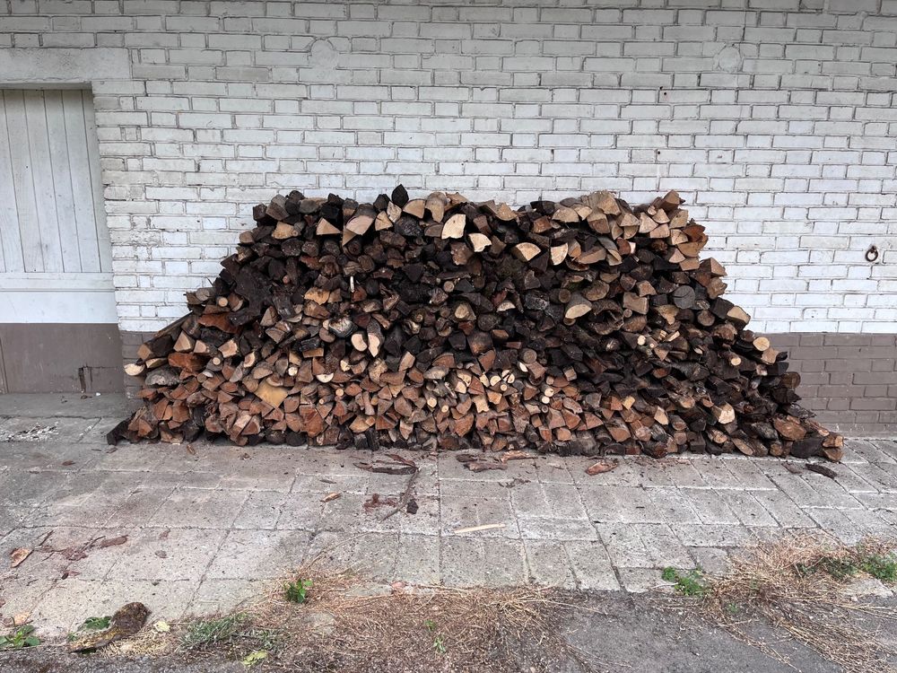 Brennholz Scheite ca 35cm diverses Holz | Kaufen auf Ricardo