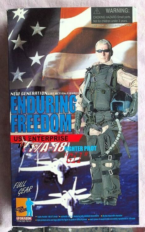 Dragon Gil F/A-18 Pilot USS Enterprise | Kaufen auf Ricardo