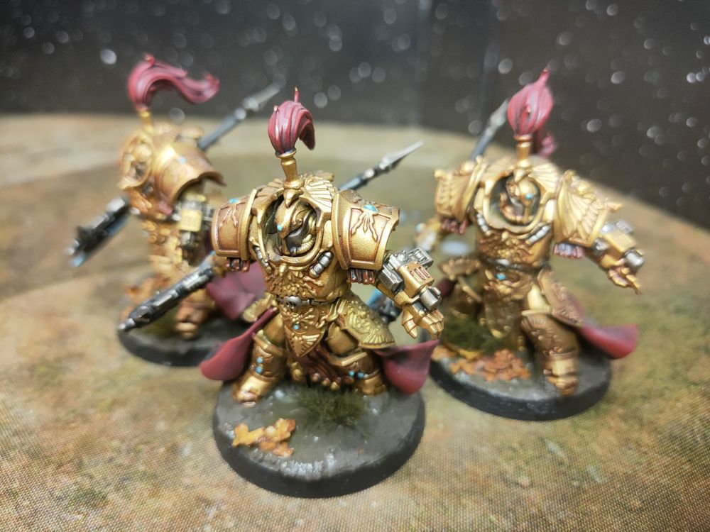 Adeptus Custodes Allarus Custodians Warhammer 40k (Gebraucht) in Baden ...