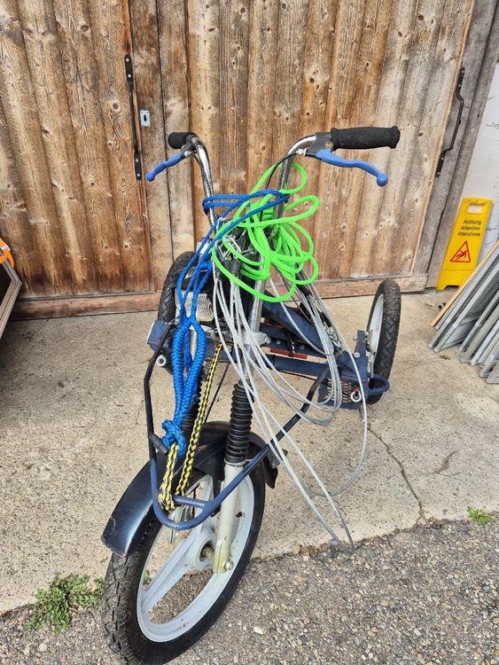 Dog Trike (Dreirad) Husky (Gebraucht) in Fischingen für CHF 1 – nur ...