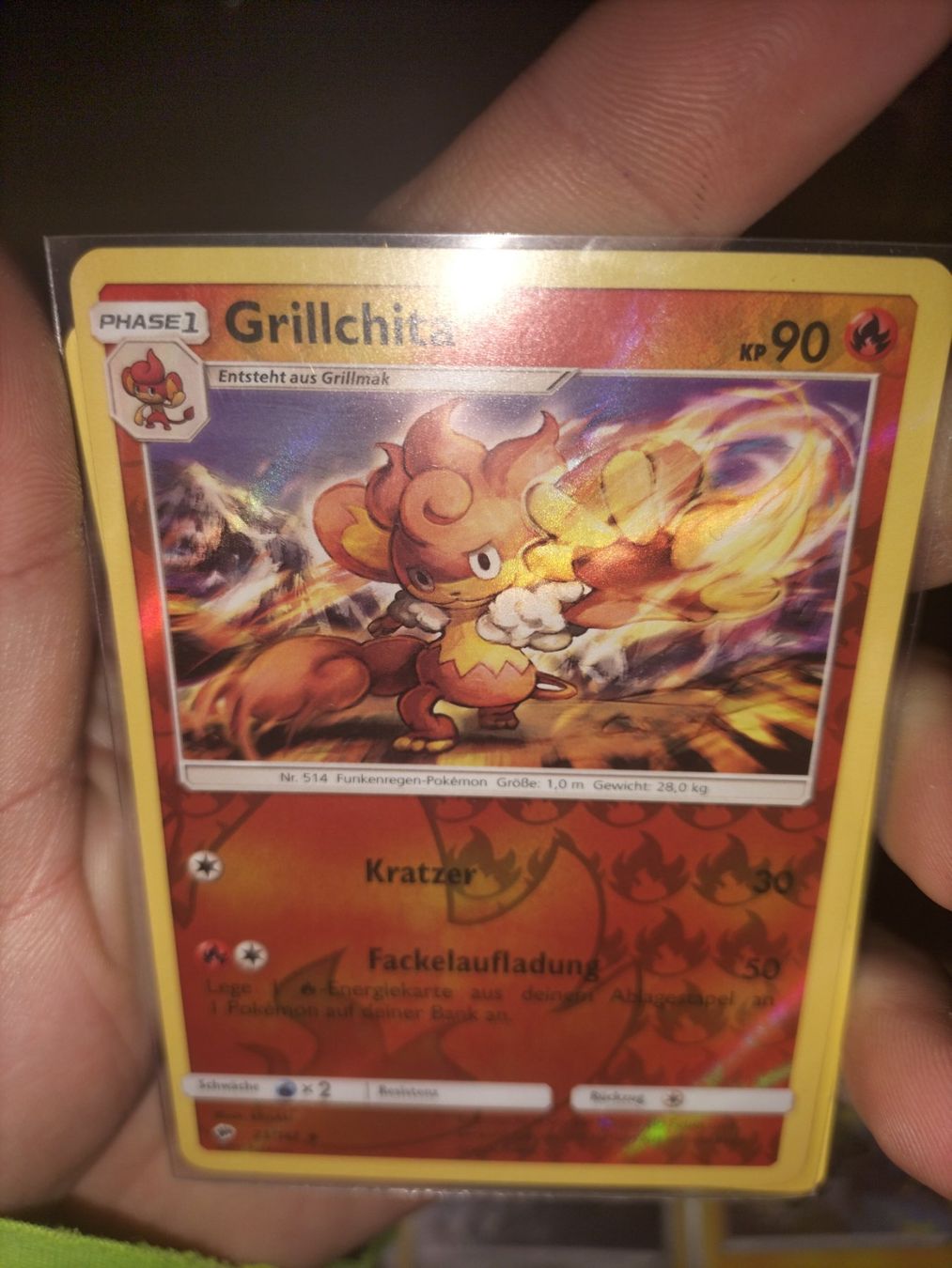 2 verschiedene ungewöhnliche Phase 1 Grillchita Pokémon Kart (Neu ...