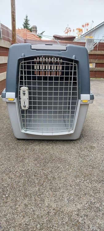 Grosse Hundetransportbox / Flugbox (D'occasion) à Kallnach pour CHF 50 ...