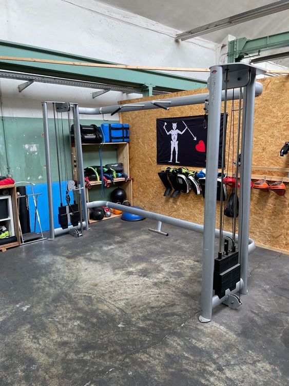 Kabelzug Gym 80 Sygnum Kraftstation Turm (Gebraucht) in Dornach für CHF ...