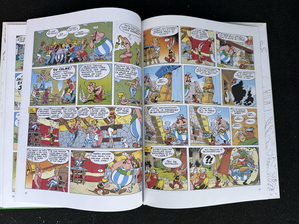 Astérix – La Rose et le Glaive – Éditions Albert René 1991 (Neuf (Voir ...