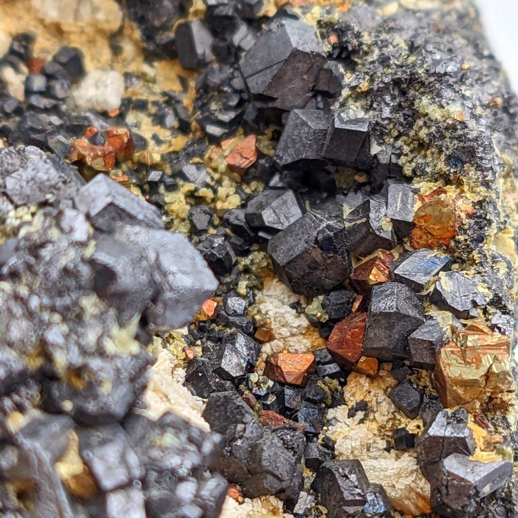 Seltene PIRIT GOLDEN mit MAGNETIT SCHWARZ, Piemont! PREZZO (Neu (gemäss ...