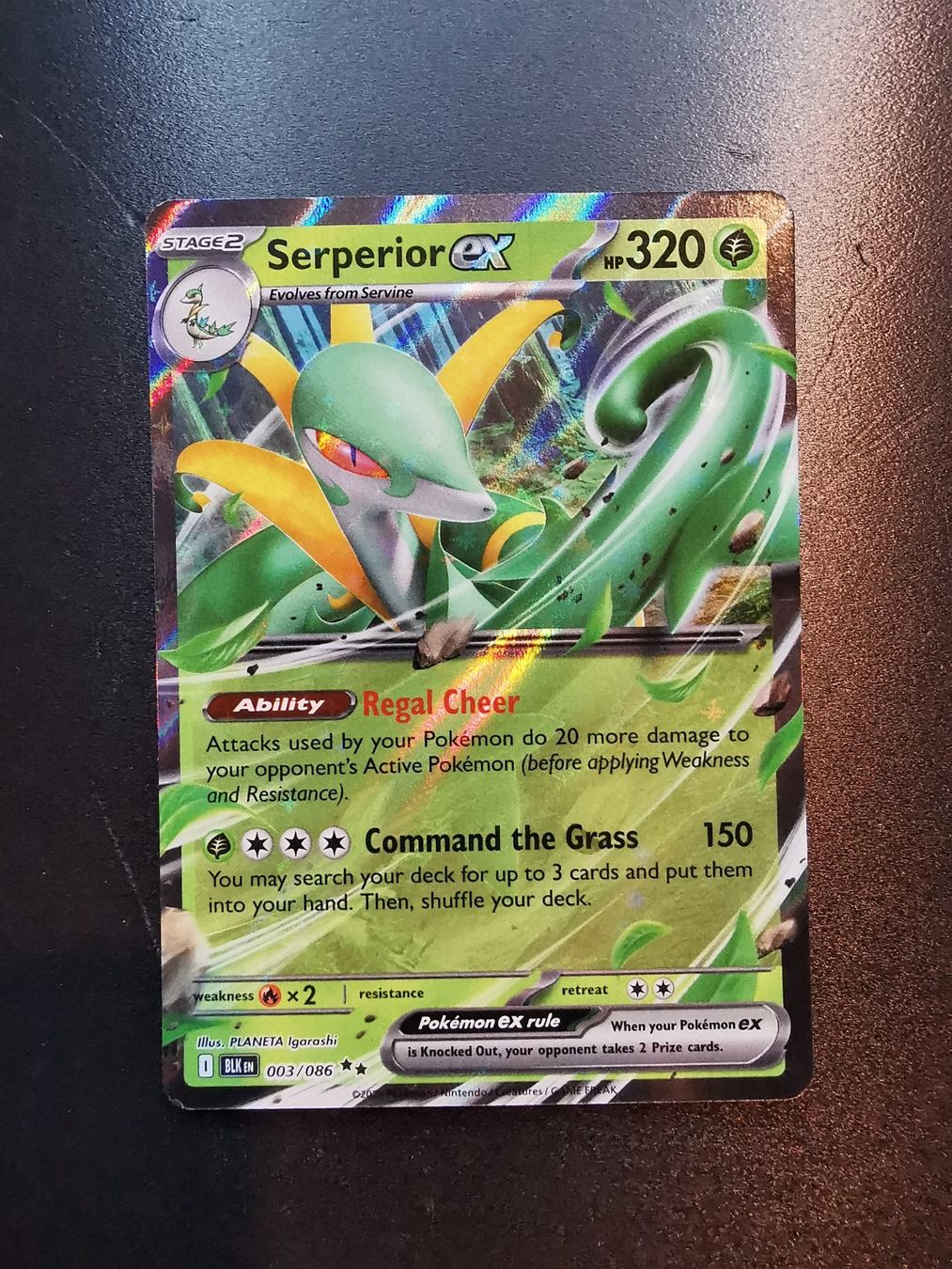 Pokemon Black Bolt, Serperior EX (BLK 003/086) (Gebraucht) in Lengnau ...