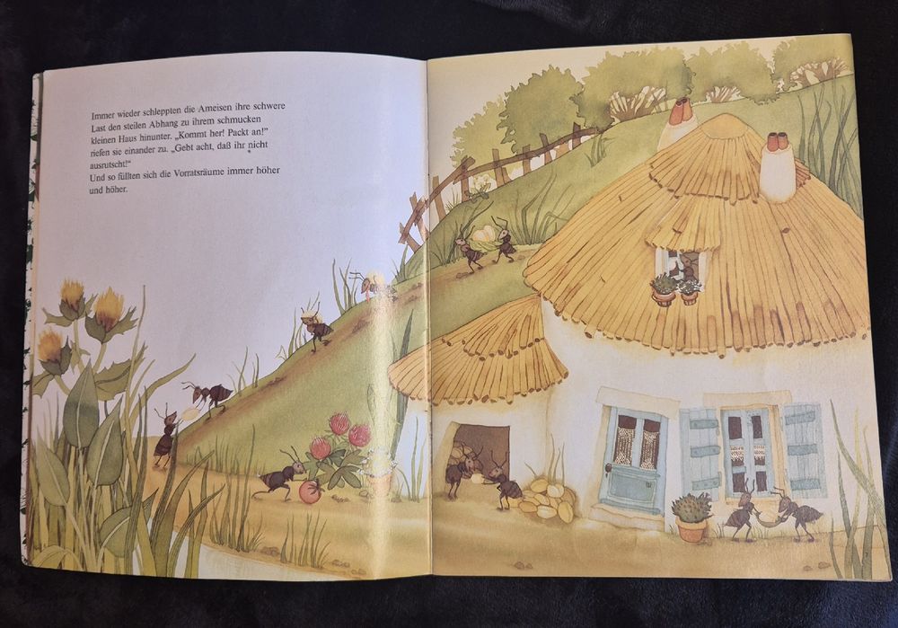 Die Grille und die Ameisen - Kinderbuch-Klassiker! (Gebraucht) in ...