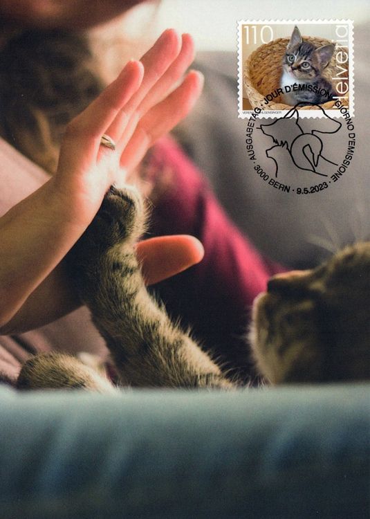 Maximumkarte Süsse Tiere - Katze - give me five (Neu (gemäss Beschreibung)) in Dottikon für CHF ...