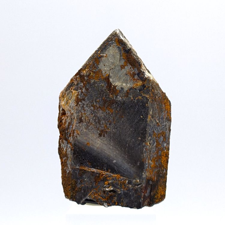 SCHWARZE BARIT mit GELBEM INNENBEREICH, RIESIGE | Kaufen auf Ricardo