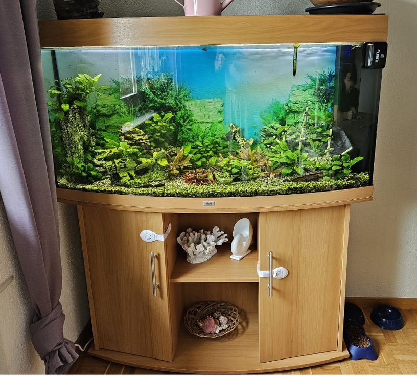 Aquarium 300 L | Kaufen auf Ricardo