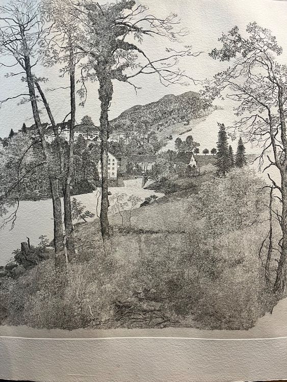 Sehr Grosse Radierung von Lichtenstein Signiert Walter Dick | Kaufen auf Ricardo