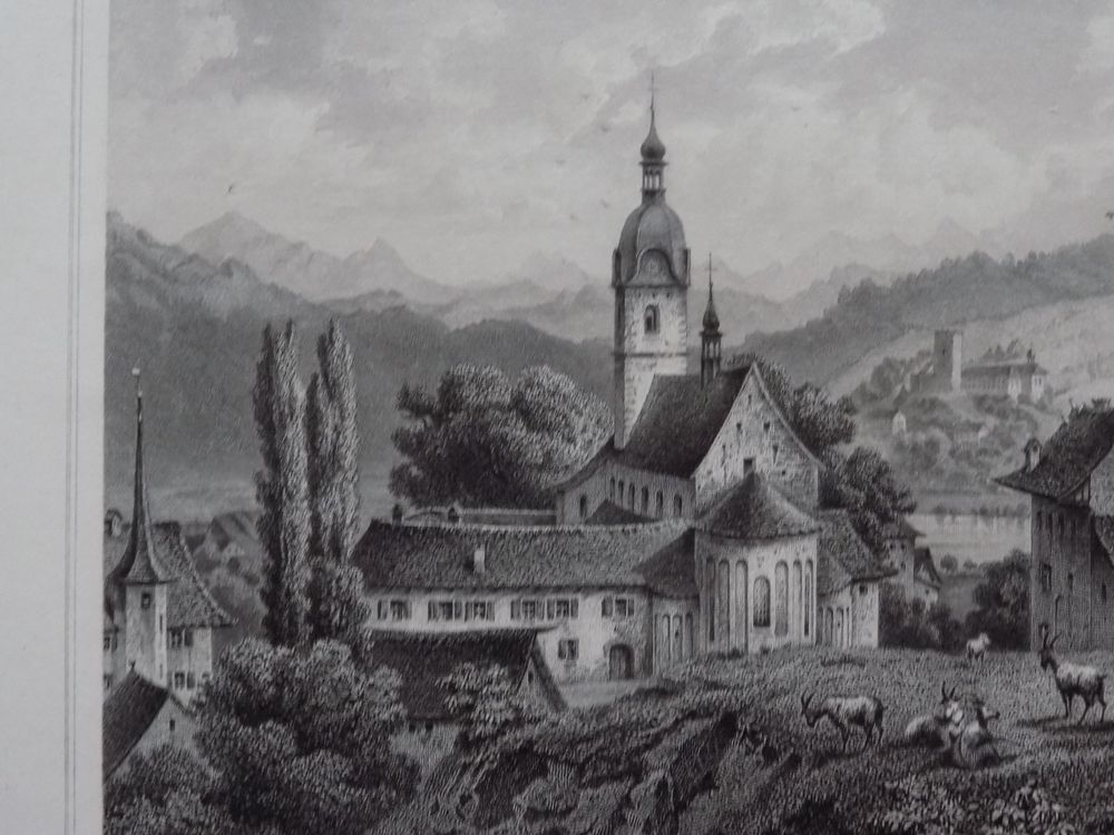 Kloster Schönenwerd Aarau (Gebraucht) in Risch für CHF 30 – mit ...