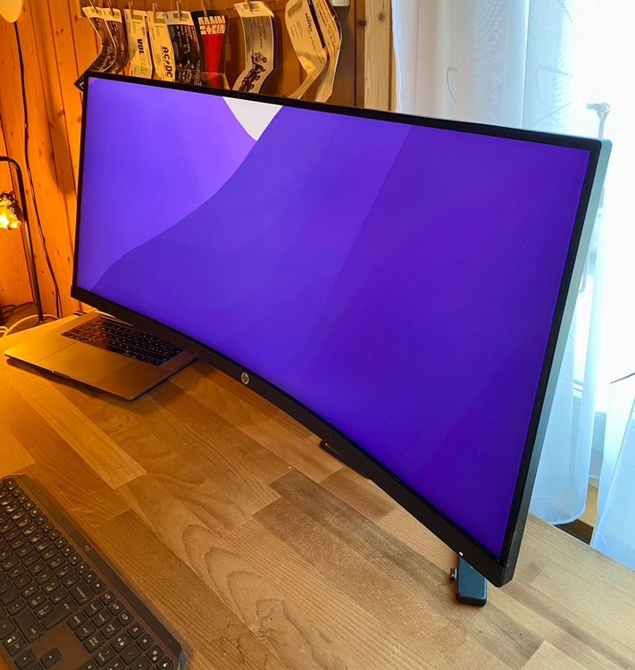 HP M34d WQHD Curved Monitor mit Arctic X1-3d Monitorarm (Gebraucht) in ...