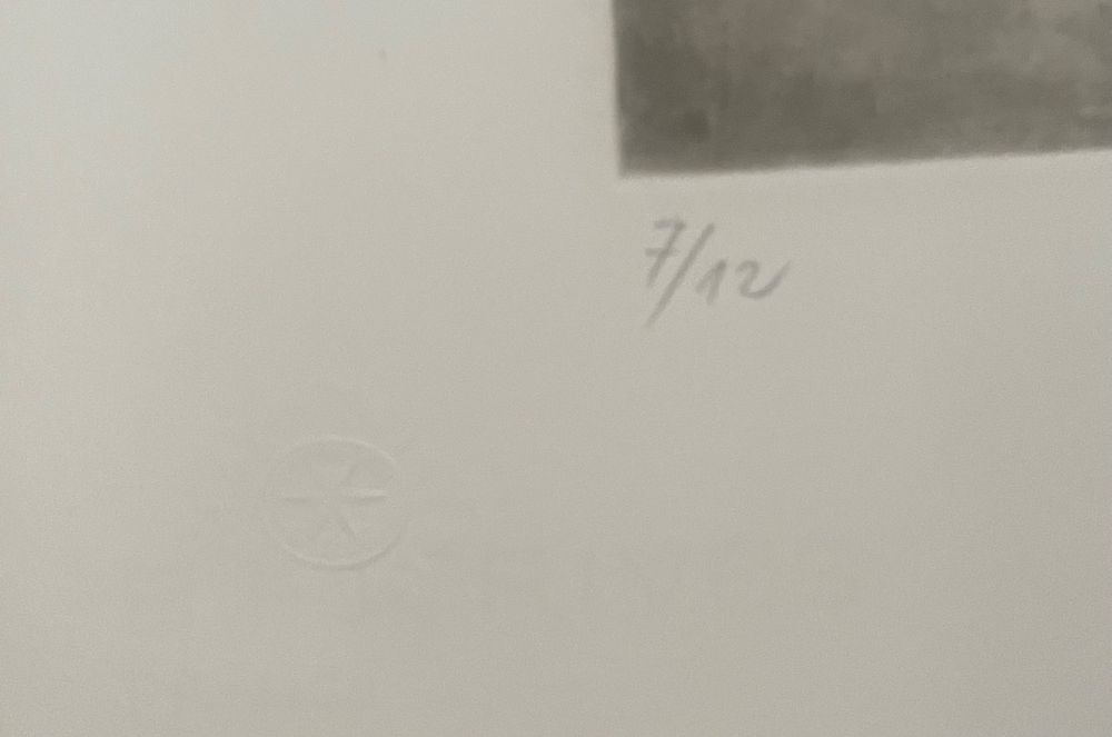 Benedicht Fivian (1940-2019) Radierung Handsig | Kaufen auf Ricardo