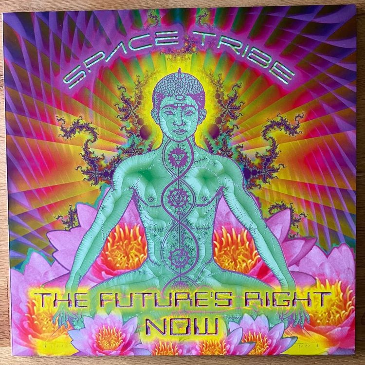Space Tribe - The Future's Right Now / 2 LP -1. D-Press.1998 (Gebraucht) in Gais für CHF 115 ...