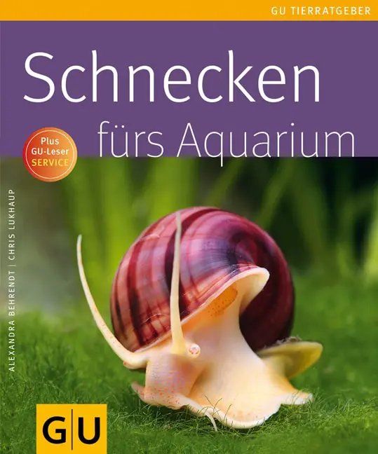 Schnecken Furs Aquarium