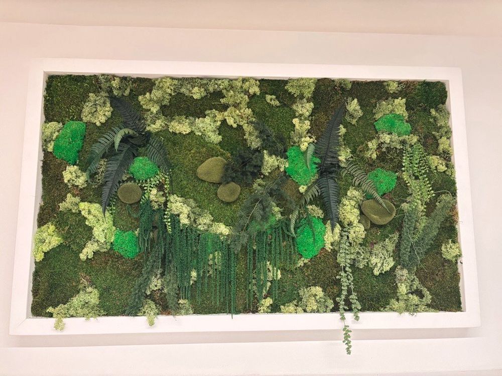 Tableau végétal stabilisé - Déco nature et zen 🌿🖼️ (50) (D'occasion) à ...