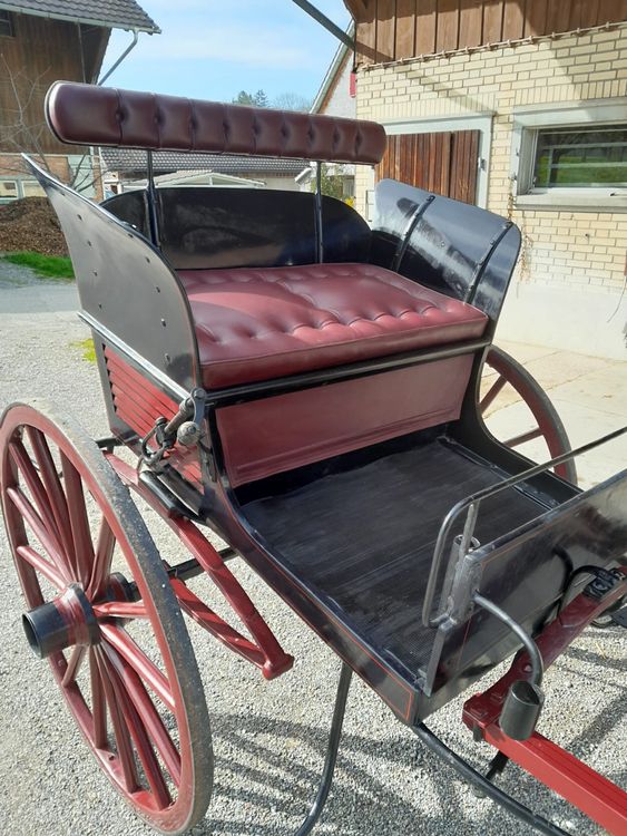 Pferdekutsche (Gebraucht) in Mogelsberg für CHF 300 – nur Abholung auf ...