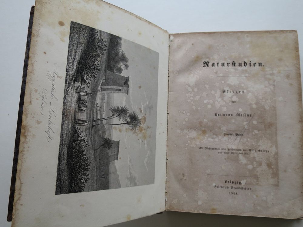 Naturstudien von Hermann Masius 2. Band 1868 | Kaufen auf Ricardo