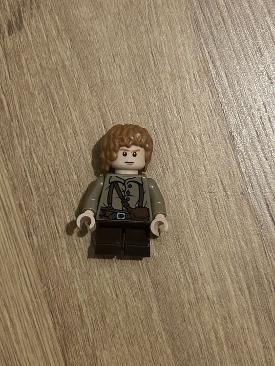 Lego Lord of the Rings Figur Sam Herr der Ringe (Gebraucht) in Kriens ...