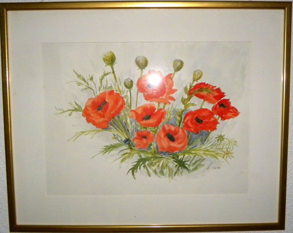 Mohnblumen, Aquarell | Kaufen auf Ricardo