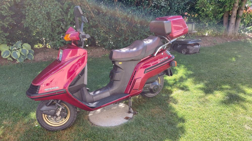 Roller Honda Spacy 250 ab MFK (Gebraucht) in Balsthal für CHF 750 – nur ...