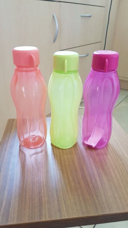 Eco Flaschen 310ml (3) | Kaufen auf Ricardo