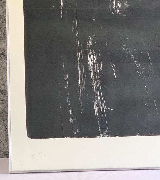 Josef Felix Müller (1955)grosses Lithographie Handsigniert (Gebraucht ...