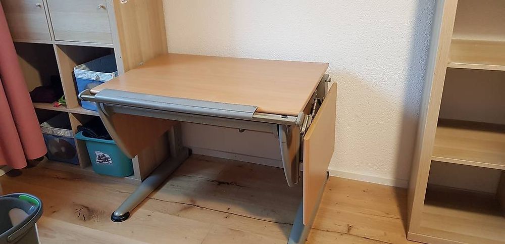 Moll Schreibtisch Runner Compact | Kaufen auf Ricardo