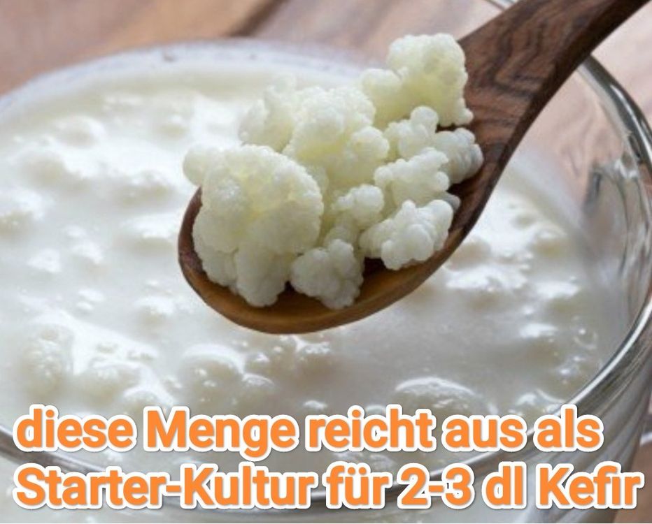 BIO-Kefir 😋 Kefirknollen für Milchkefir selbst herstellen | Kaufen auf ...