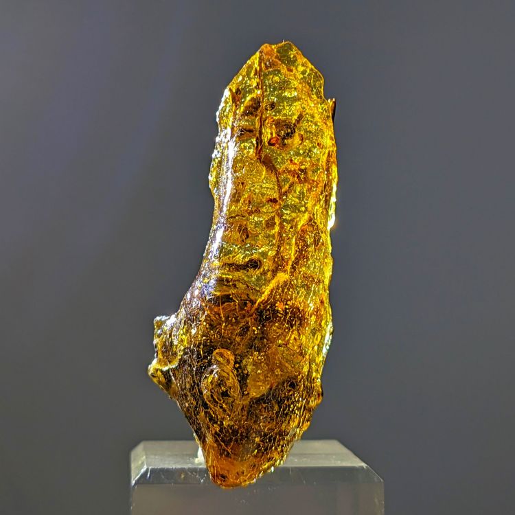 BERNSTEIN COPAL mit INSEKTEN + STÄBCHEN, honigfarbig (Neu (gemäss Beschreibung)) in Balerna für ...