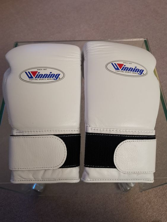 Winning Japan Boxhandschuhe 12oz (neu) (Neu (gemäss Beschreibung)) in ...