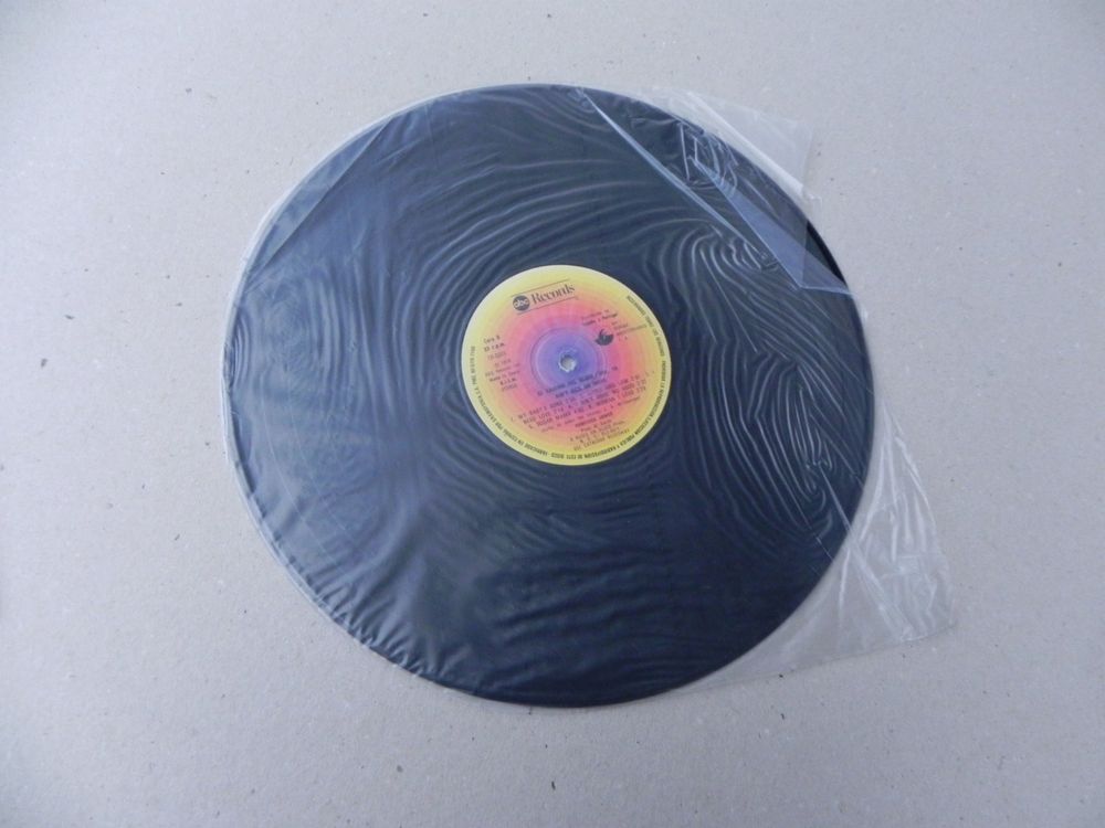 LP USA Blues Musiker Homesick James 1976 (Gebraucht) in Siebnen für CHF ...