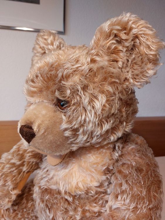 Steiff Bär Teddybär Gross 55cm Rarität (Gebraucht) in Heerbrugg für CHF 31 – mit Lieferung auf ...