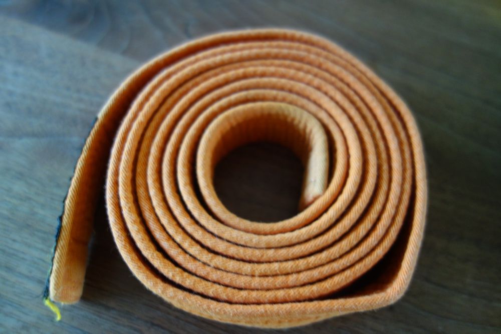 Karate Gurt orange 240cm 2 Stück | Kaufen auf Ricardo