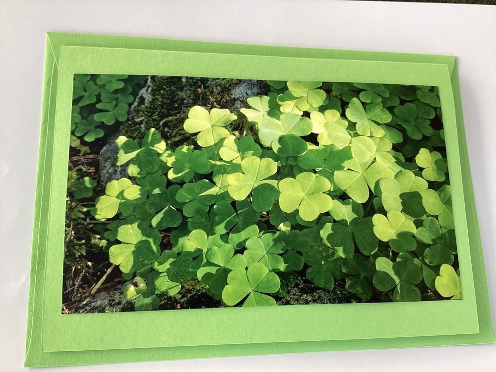 Grusskarte / Fotokarte, mit Couvert C5/A5, Kleeart im Licht | Acheter ...