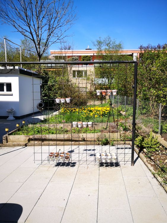 🤩SHABBY CHIC DEKO-GITTER & 6 PFLANZEN-GESTELLE SCHWARZ (Gebraucht) in ...