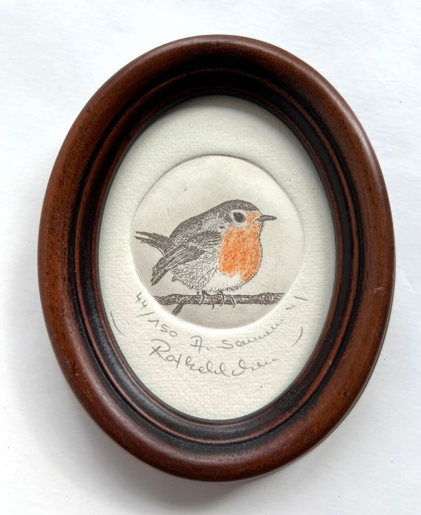 Bild*Vogelmotive*Rotkehlchen*unter Plexiglas*Rahme Holz***** | Kaufen ...