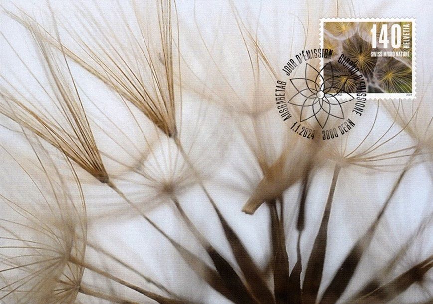 Maximumkarte Naturmuster - Samenstand | Kaufen auf Ricardo