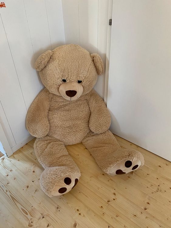 Plüschteddy 150cm (Gebraucht) in Dübendorf für CHF 5 – mit Lieferung ...