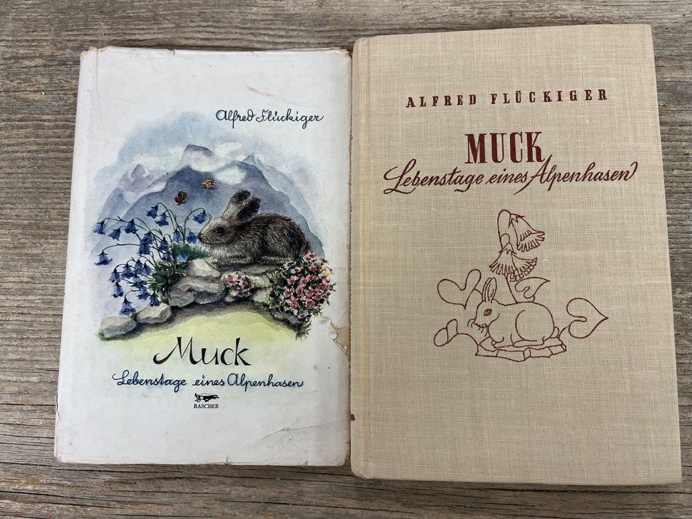 Muck Lebenstage eines Alpenhasen, 1. Aufl.1940/A. Flückiger (Gebraucht ...