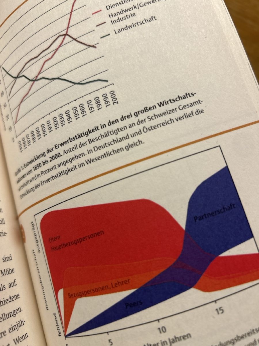 Buch: lernen geht anders (Neu (gemäss Beschreibung)) in Wichtrach für ...