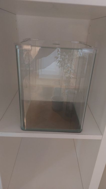 Nano Cube 10l (Gebraucht) in Bern für CHF 15 – nur Abholung auf Ricardo ...