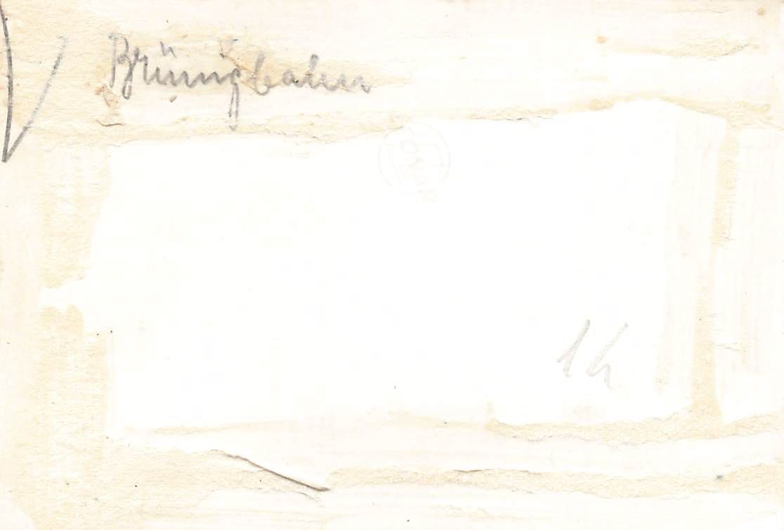 Brünig SBB Bahnhof mit elektrischer Lokomotive foto 9 x 6 (Usato) a ...